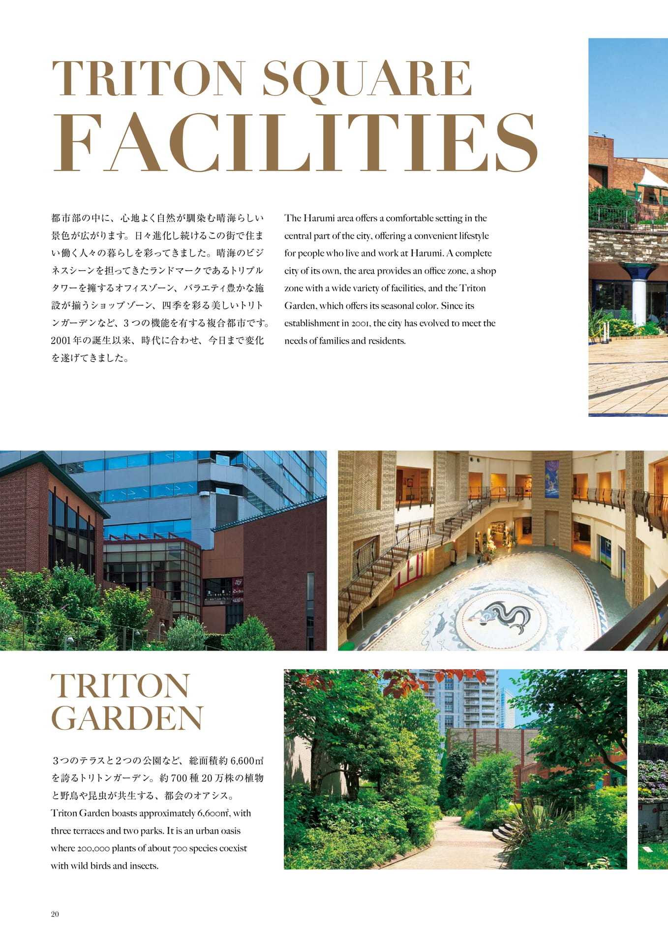 Harumi Triton X Pamphlet | ebook5