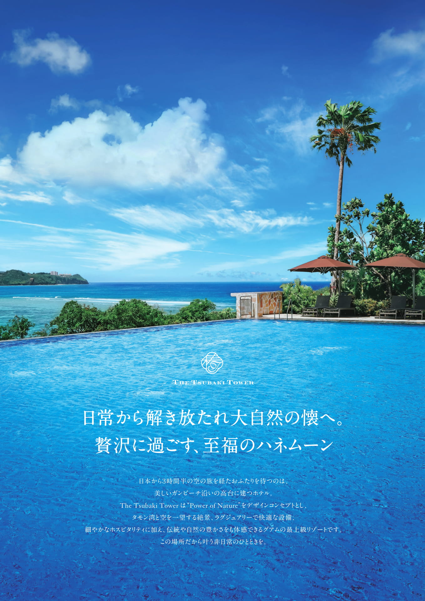 プレミアスカイウエディング WEBパンフレット | ebook5