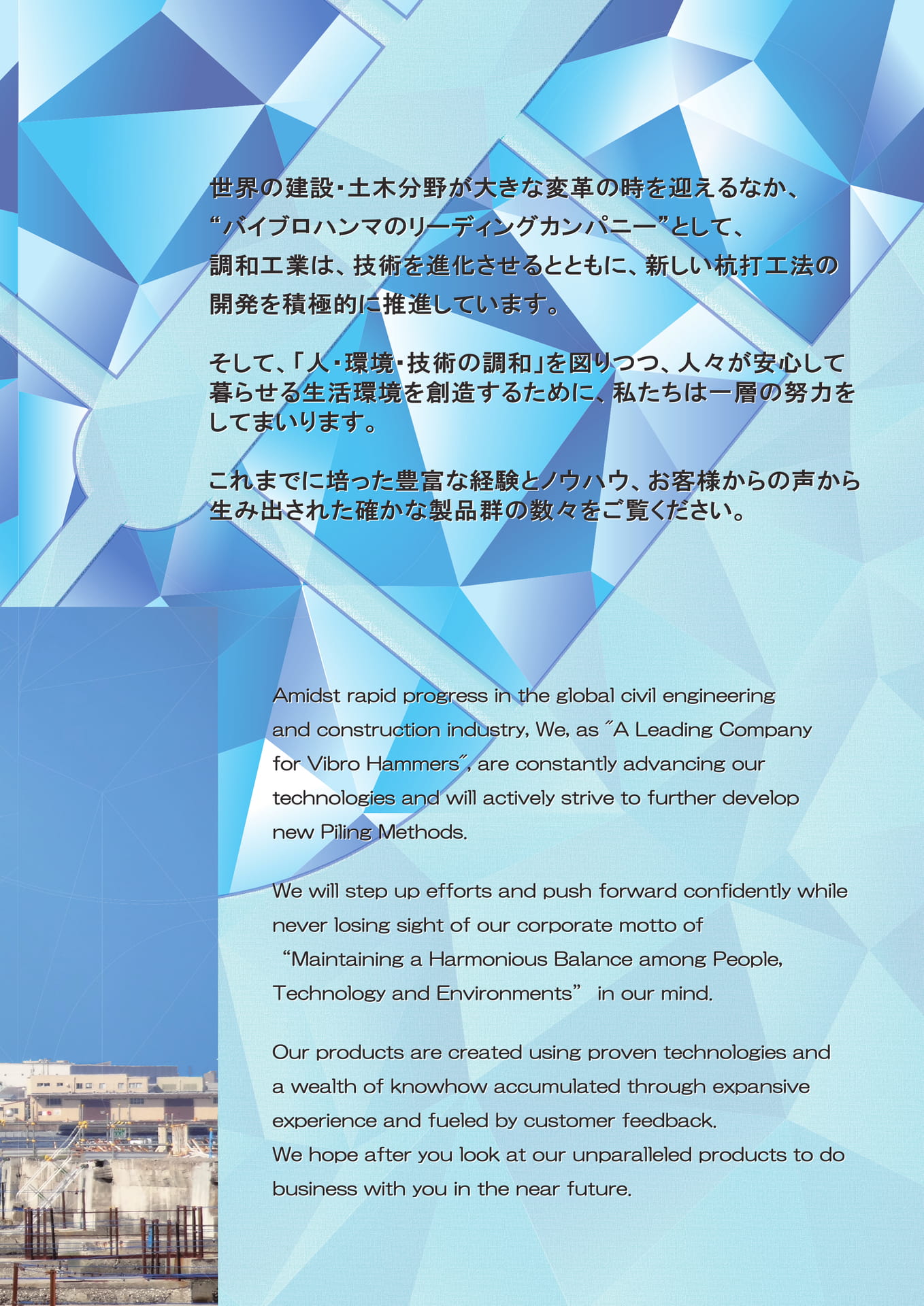 CHOWA PRODUCT LINEUP | ebook5