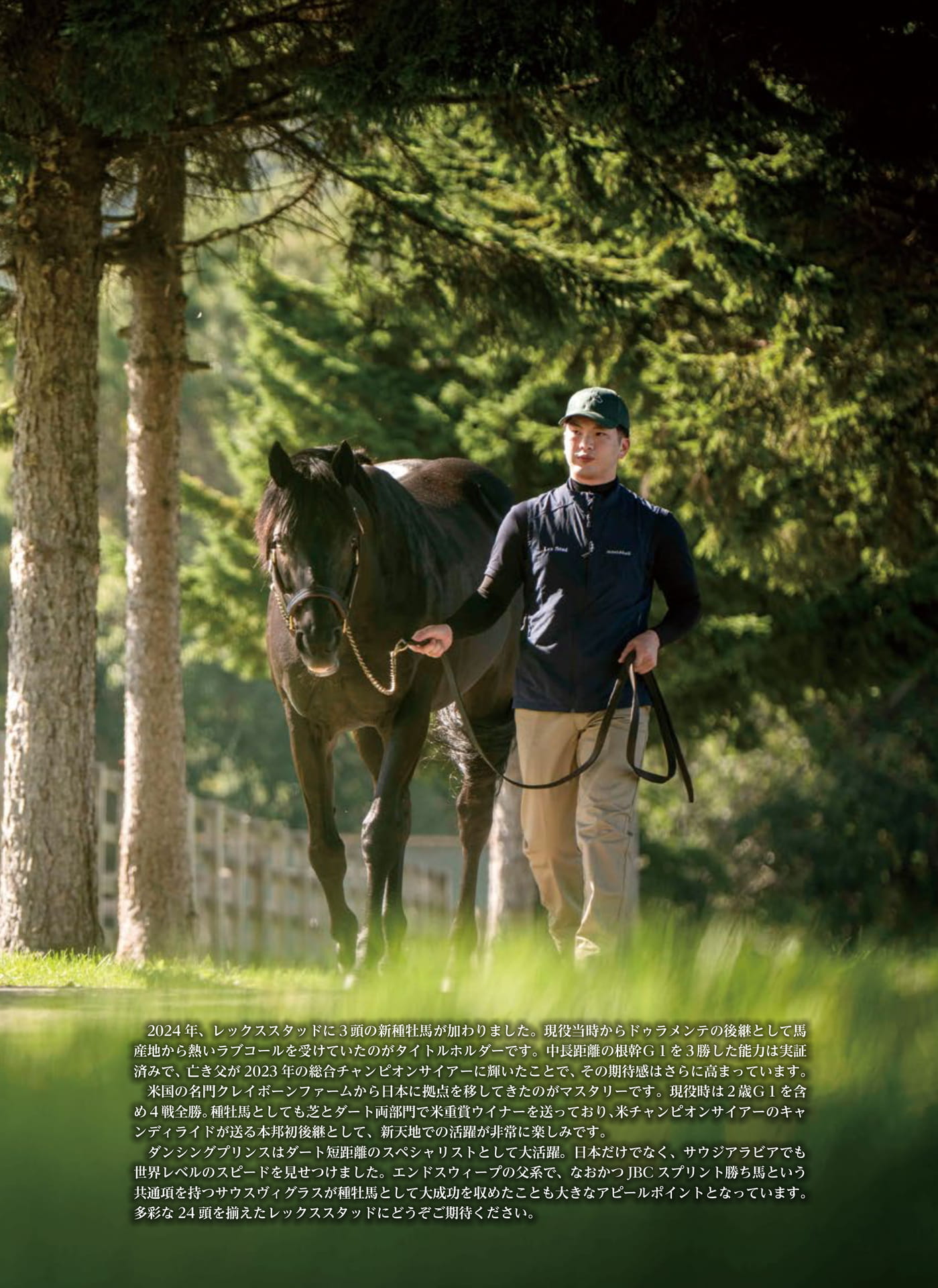 Stallions 2024 | ebook5