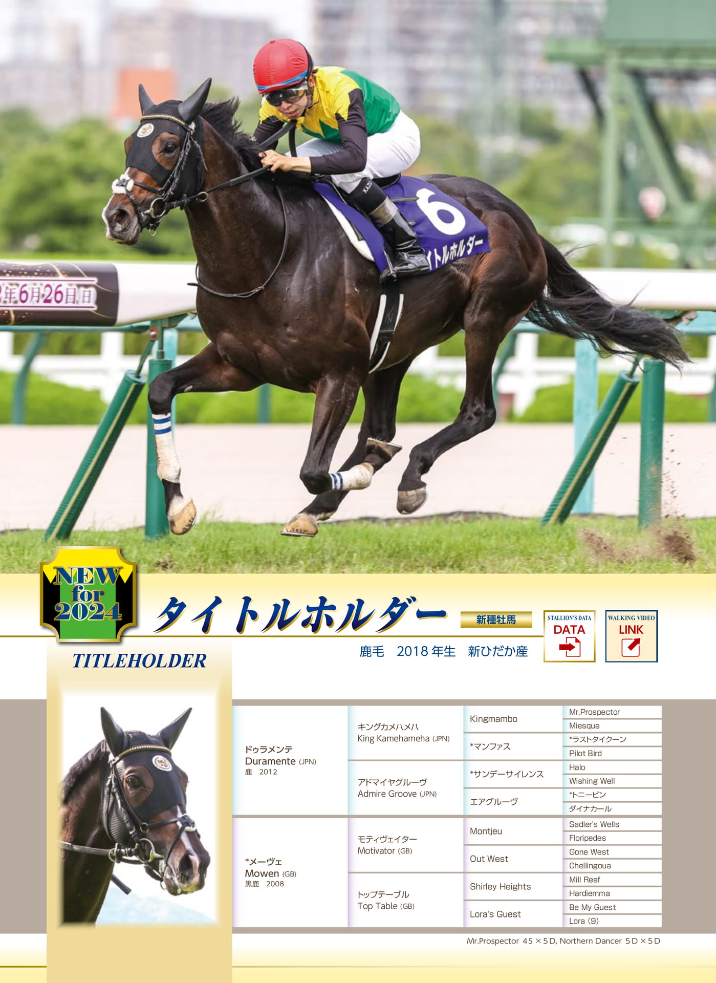 Stallions 2024 | ebook5