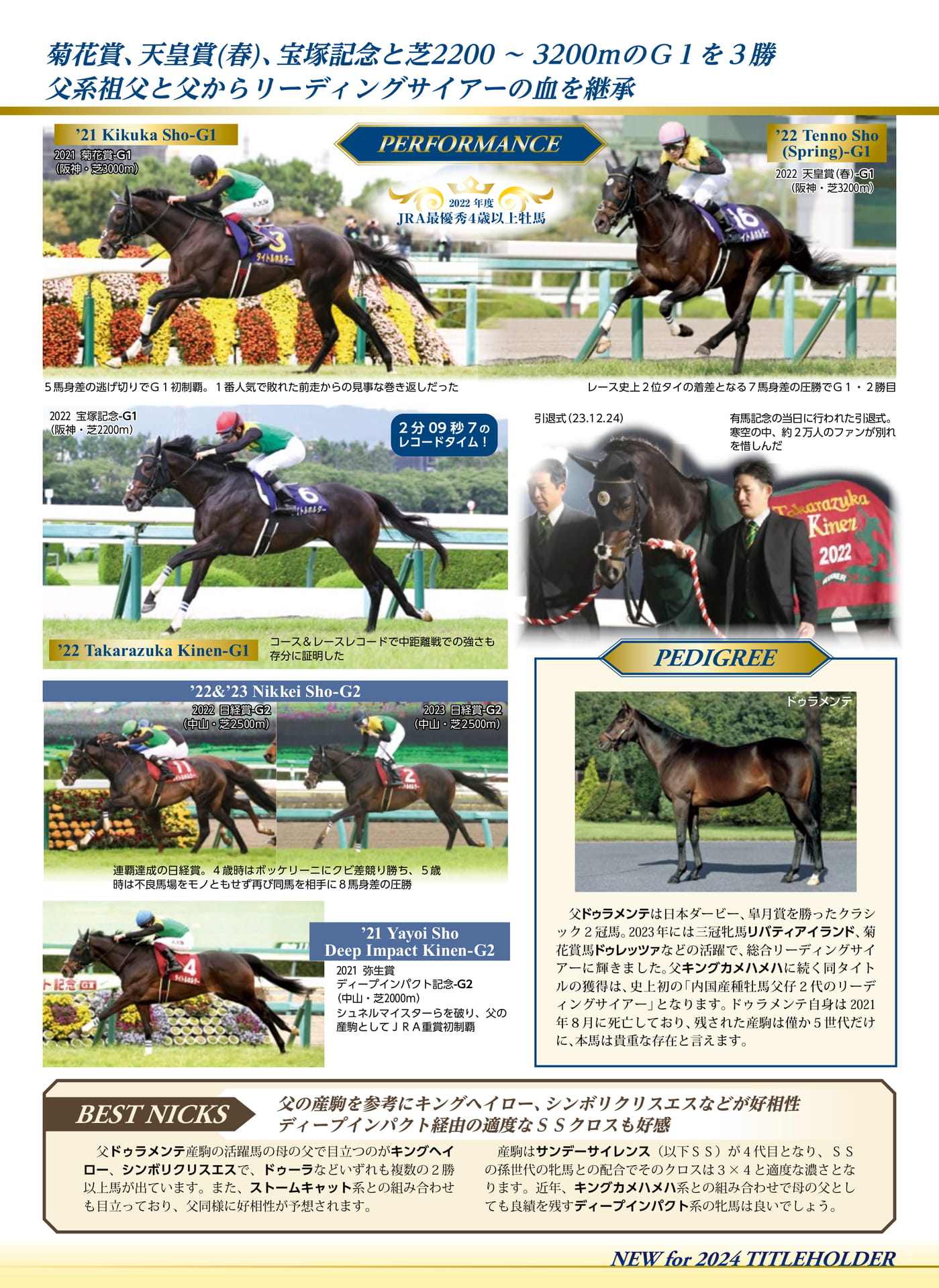 Stallions 2024 | ebook5