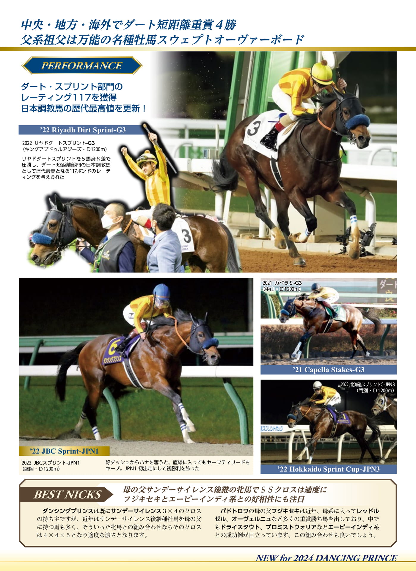 Stallions 2024 | ebook5