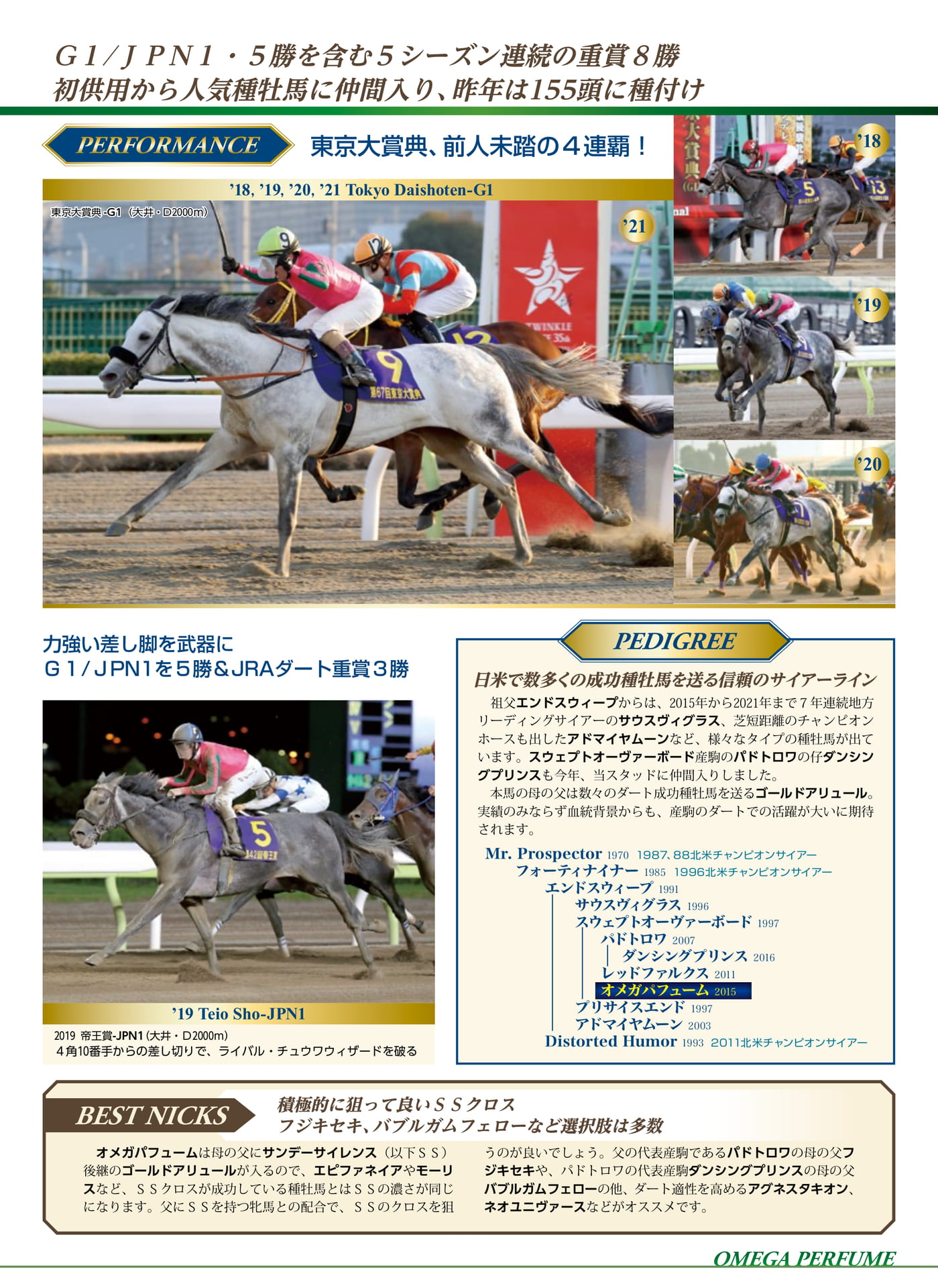 Stallions 2024 | ebook5