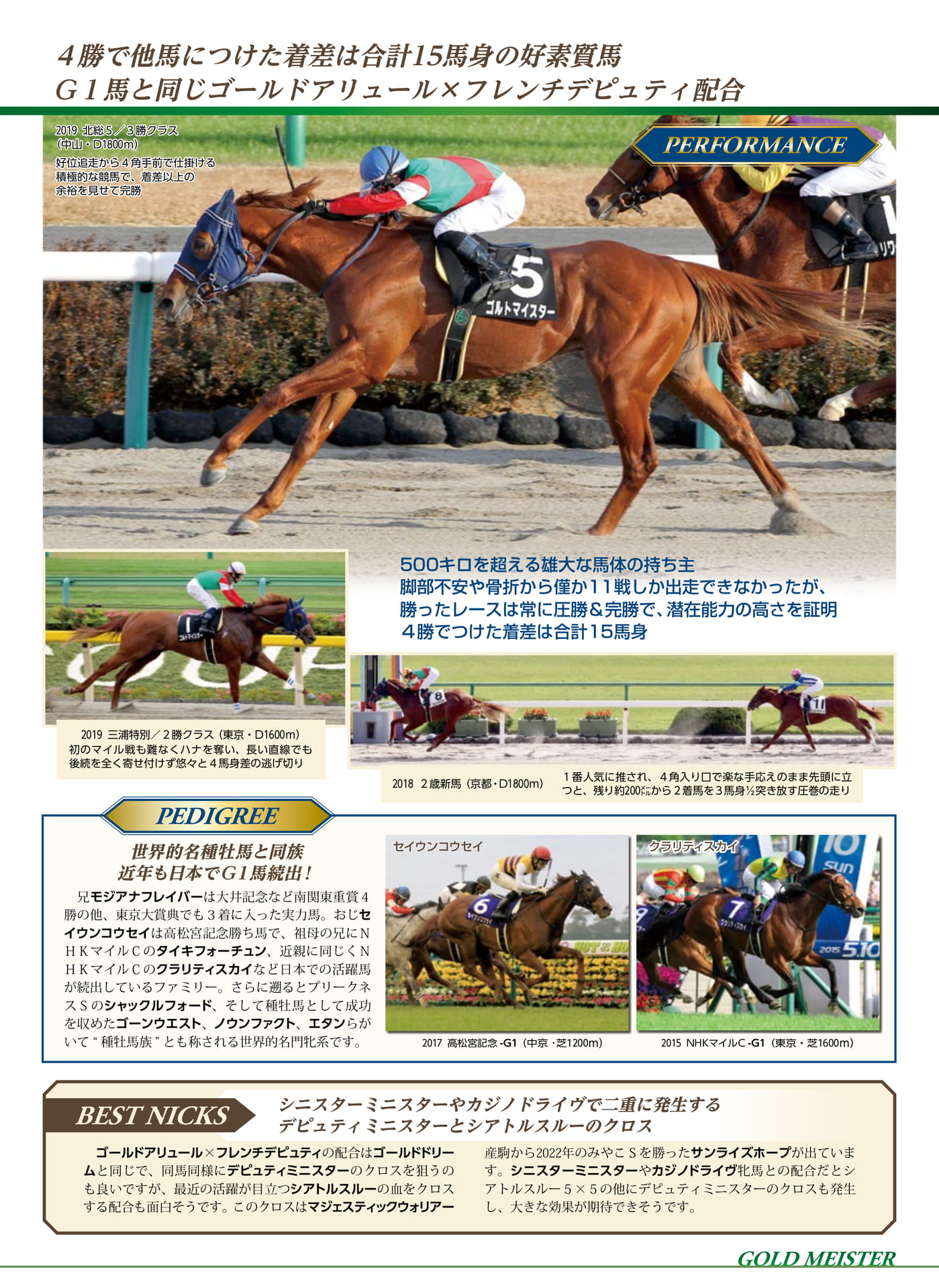 Stallions 2024 | ebook5