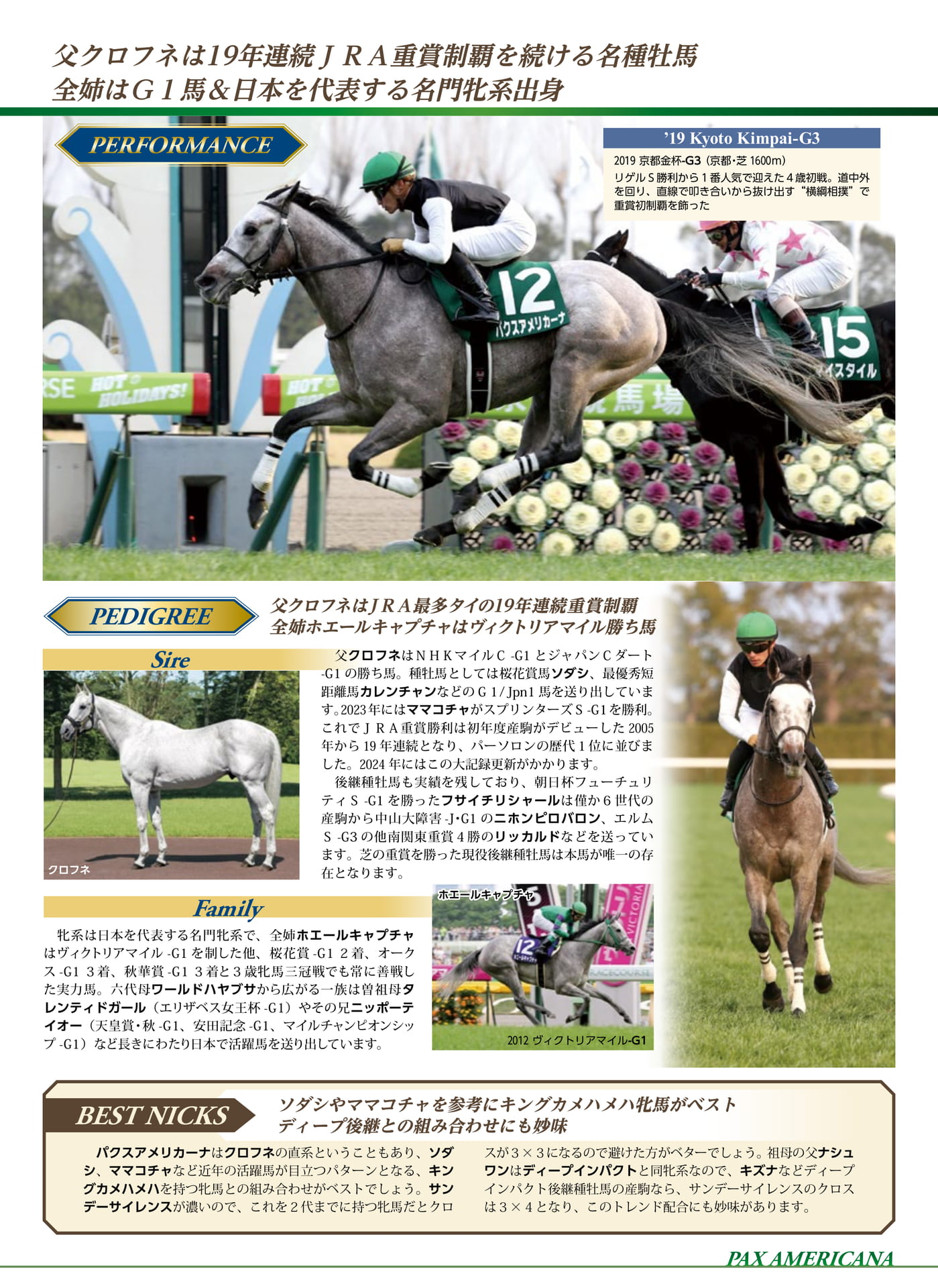 Stallions 2024 | ebook5