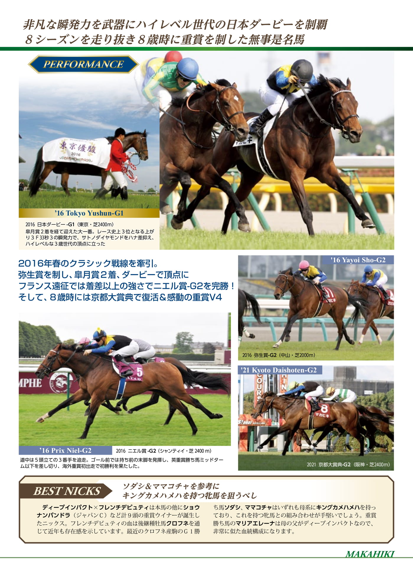 Stallions 2024 | ebook5