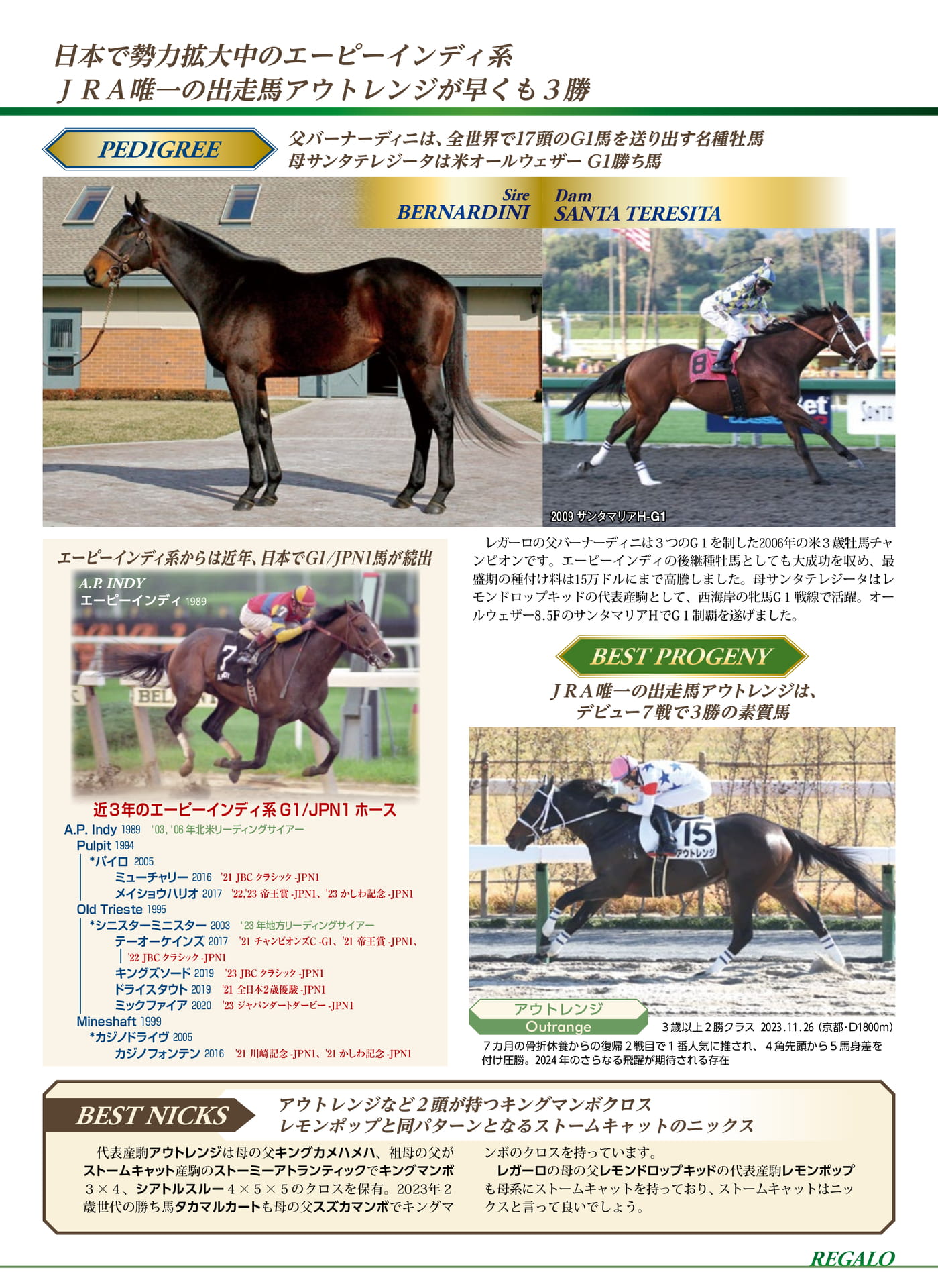 Stallions 2024 | ebook5