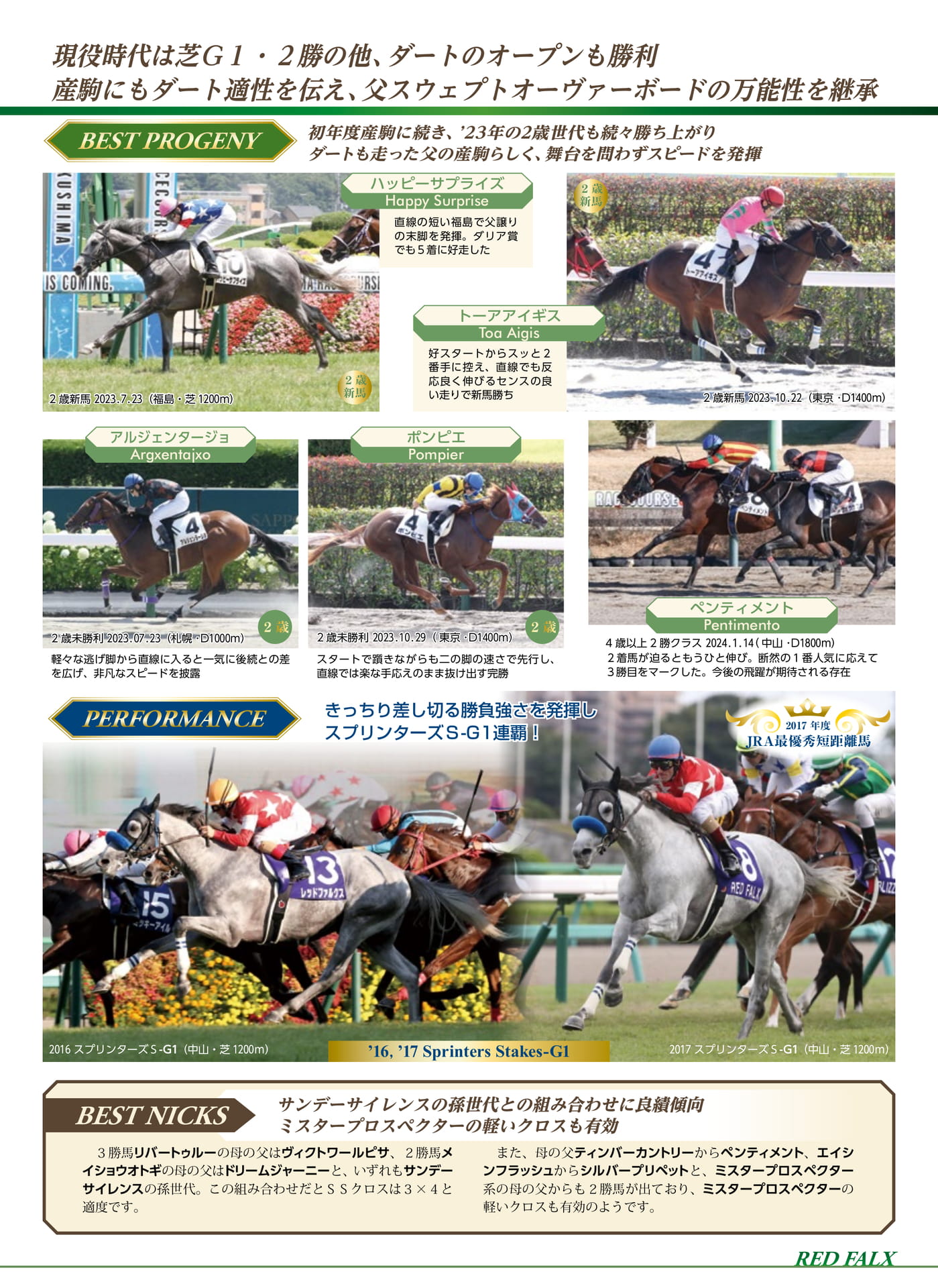 Stallions 2024 | ebook5