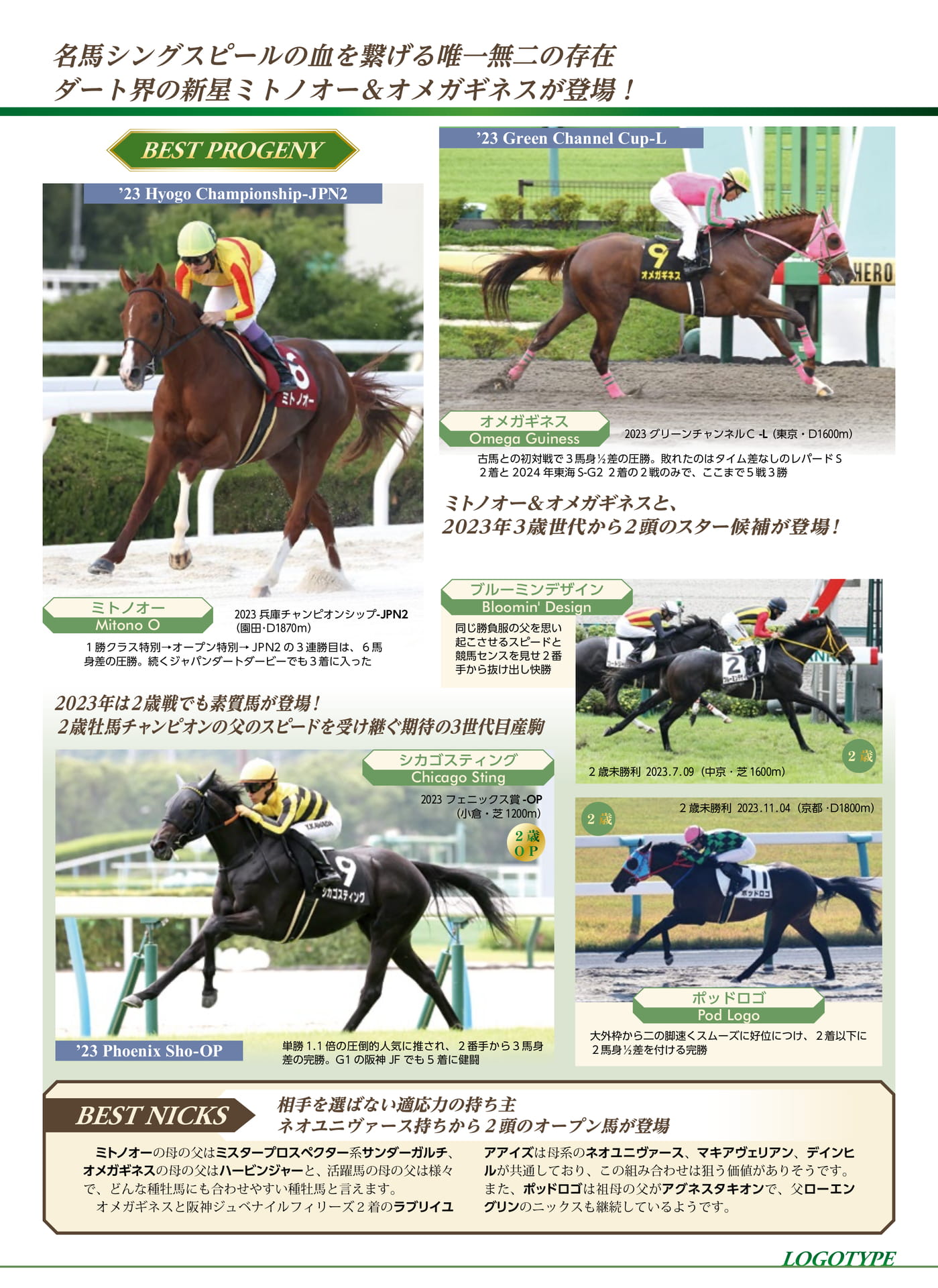 Stallions 2024 | ebook5