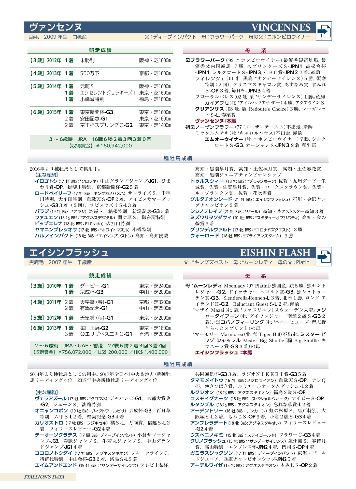 Stallions 2024 | ebook5