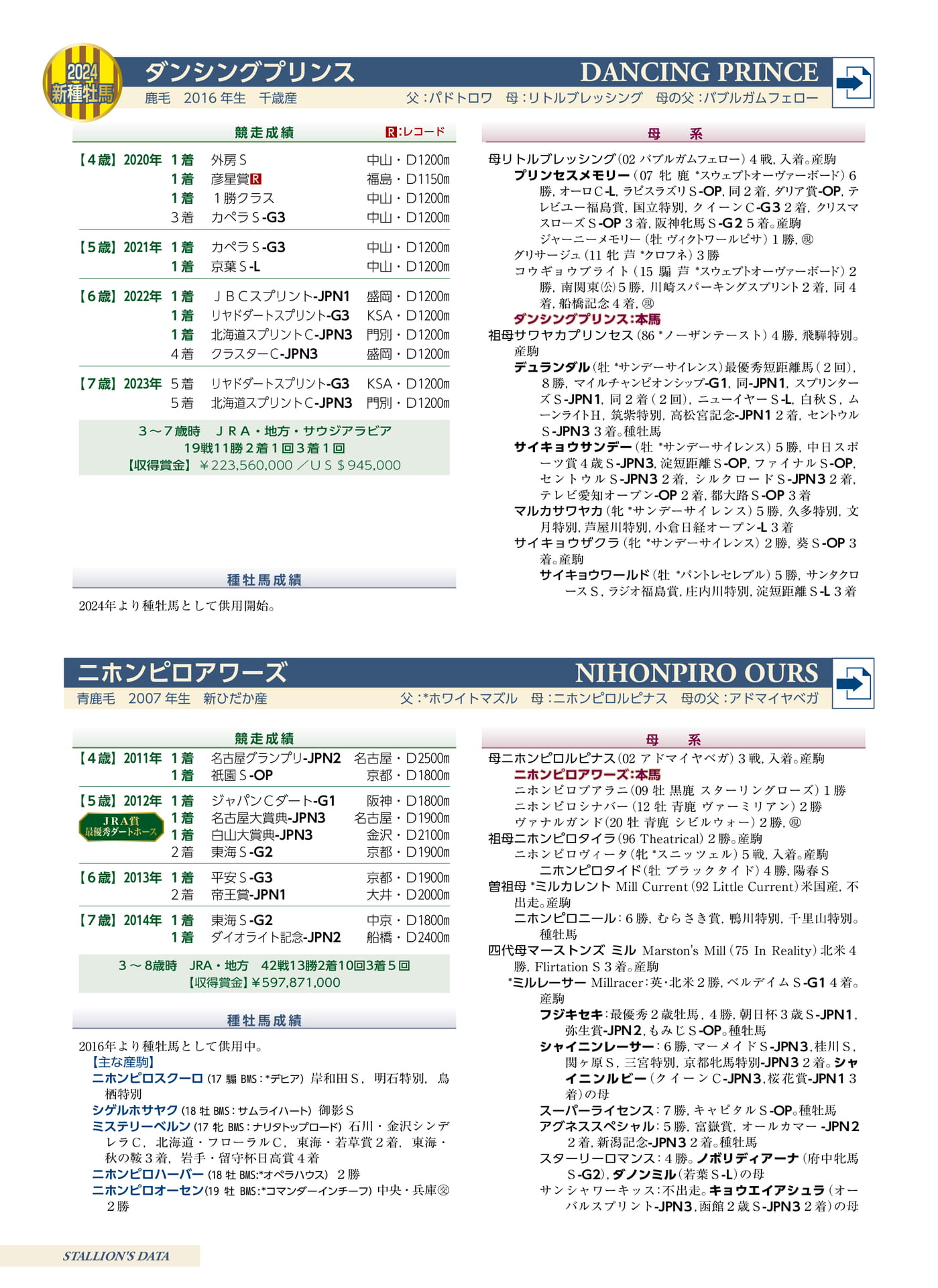 Stallions 2024 | ebook5