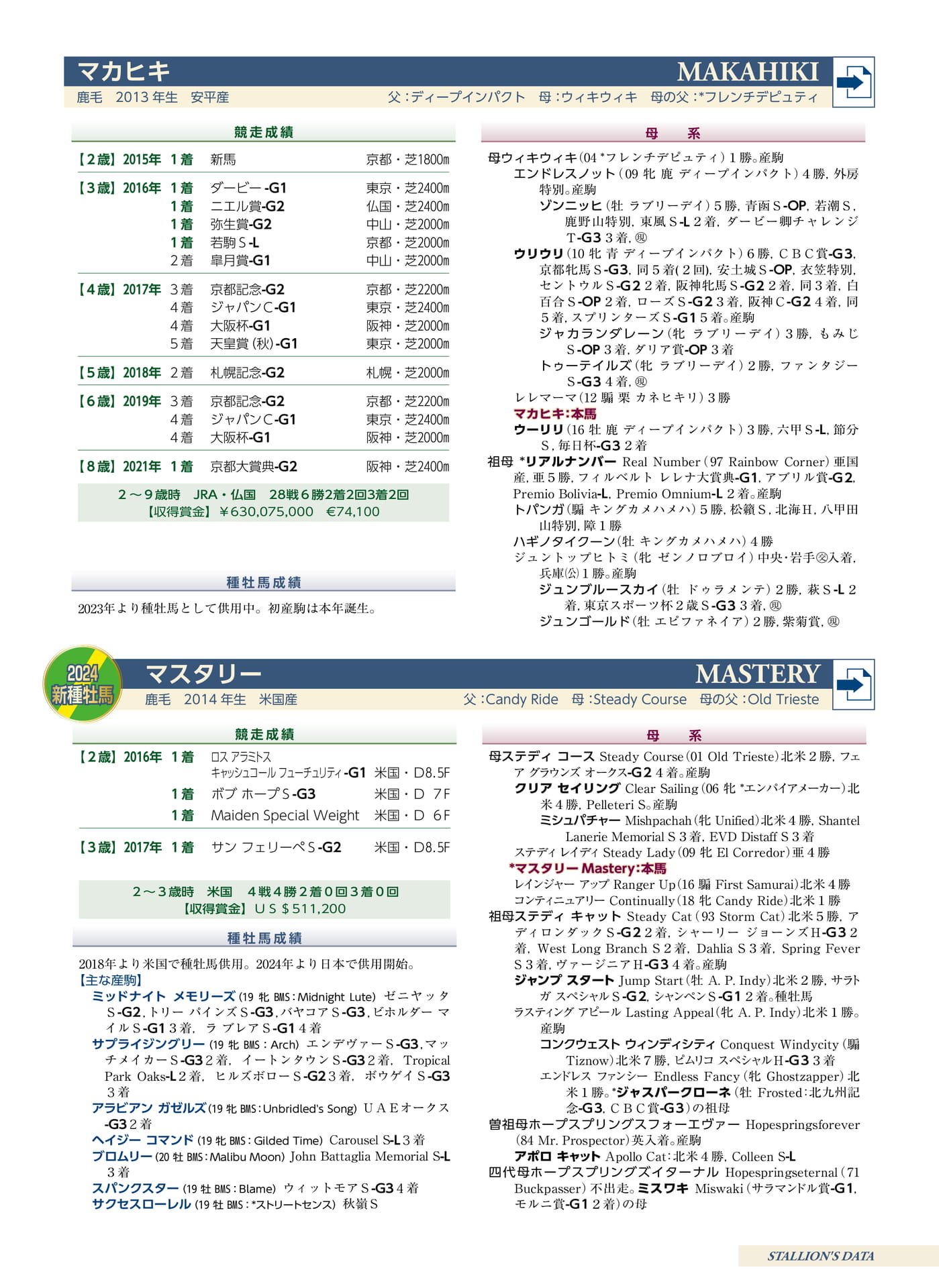 Stallions 2024 | ebook5