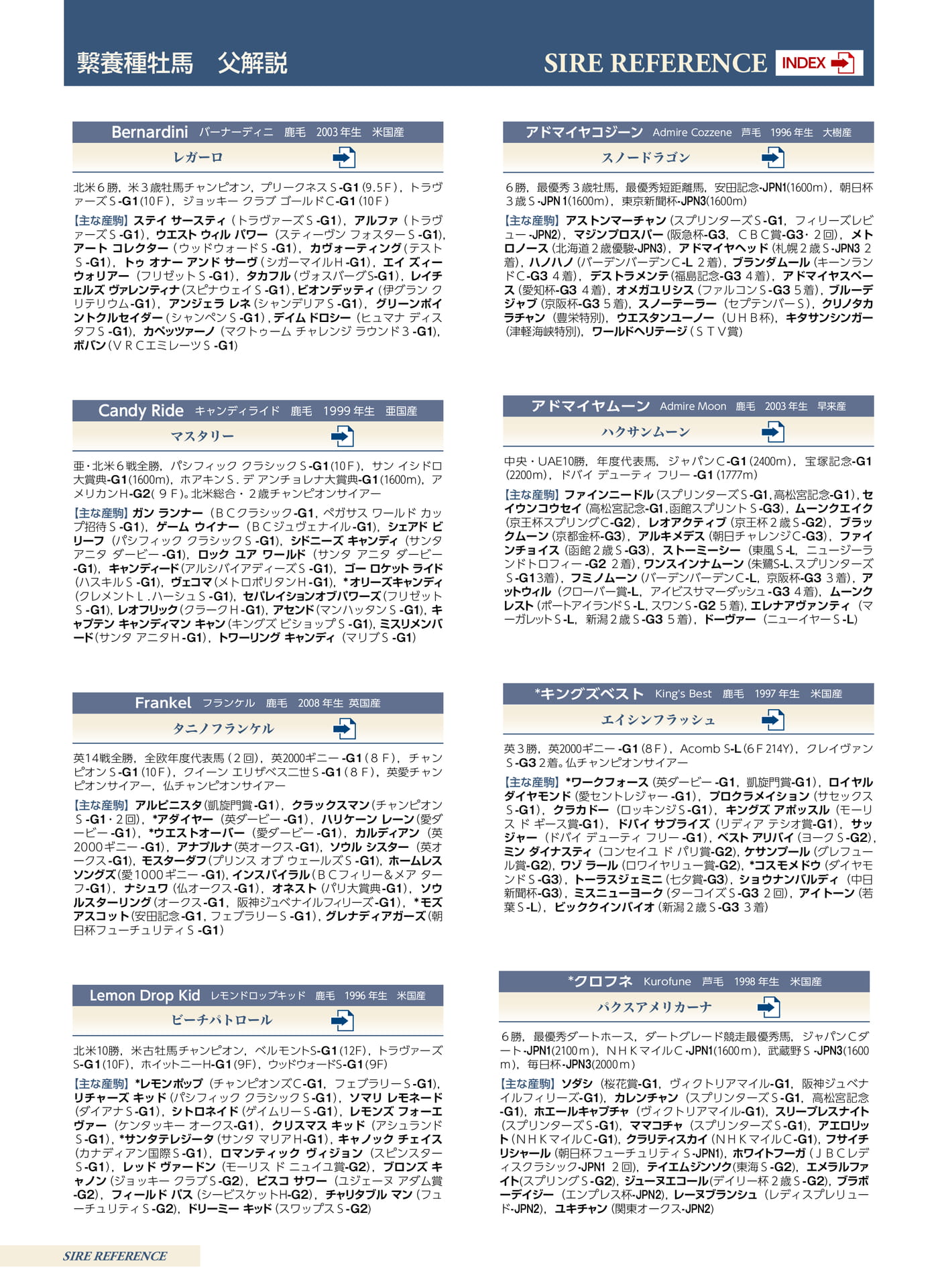 Stallions 2024 | ebook5