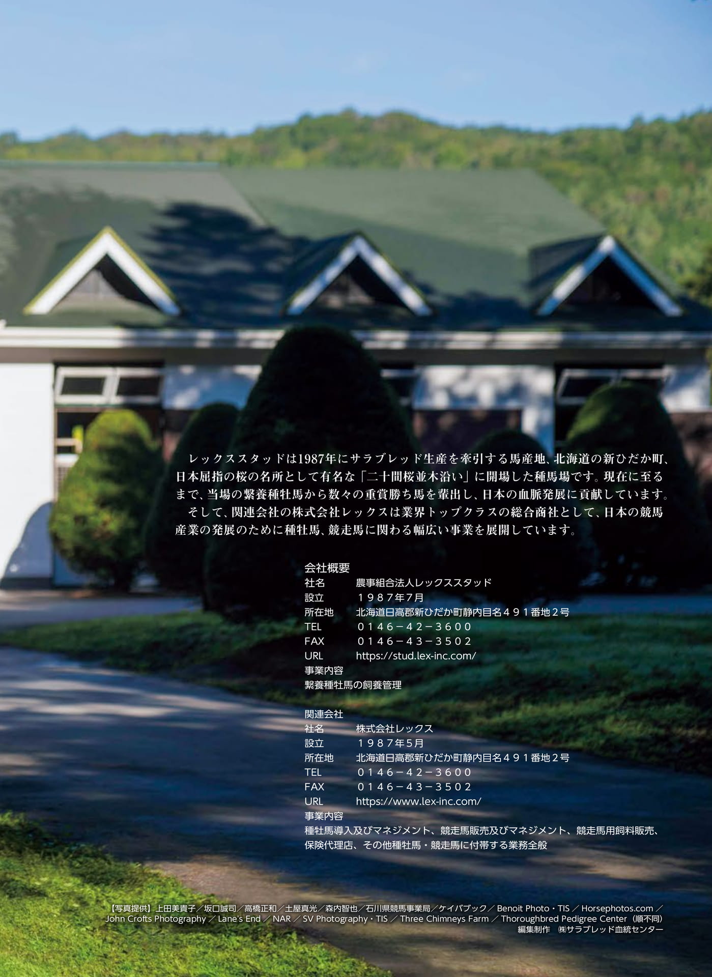 Stallions 2024 | ebook5