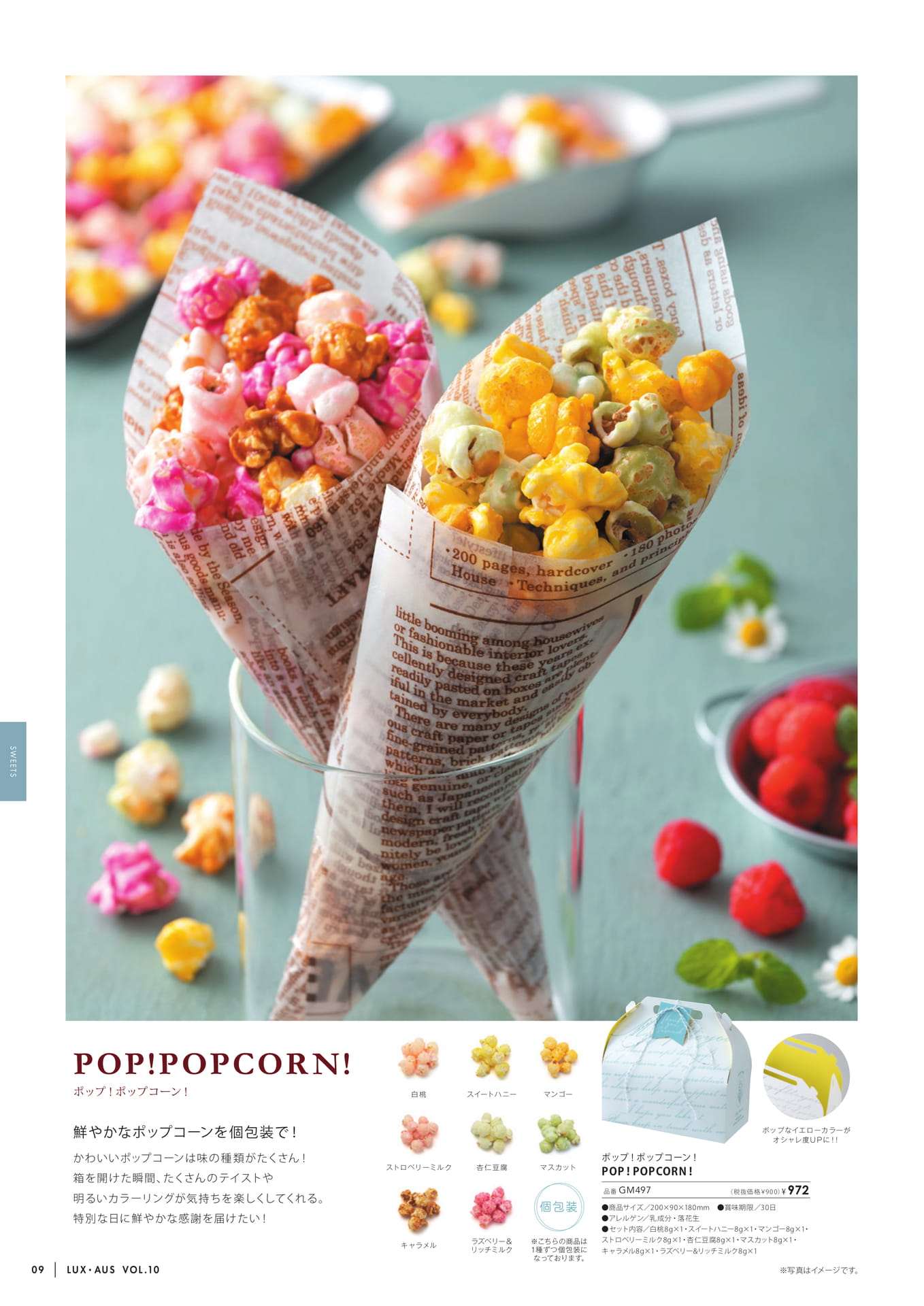 LUXAUS vol.10 | ebook5