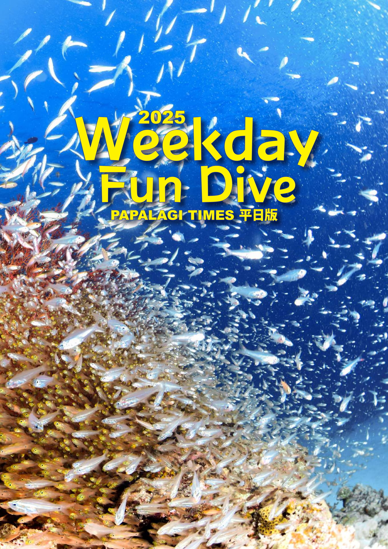 Weekday Fun Dive | ebook5